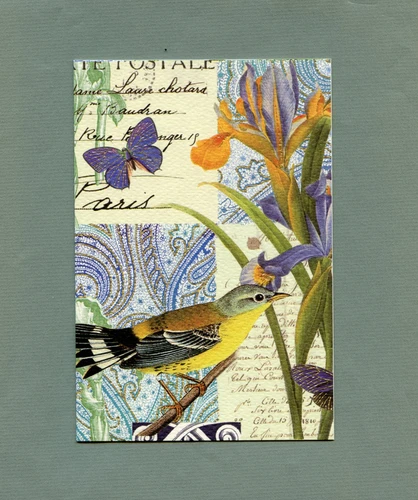 Fat Finch Boutique for Bird Lovers | Decor, Apparel, Cards