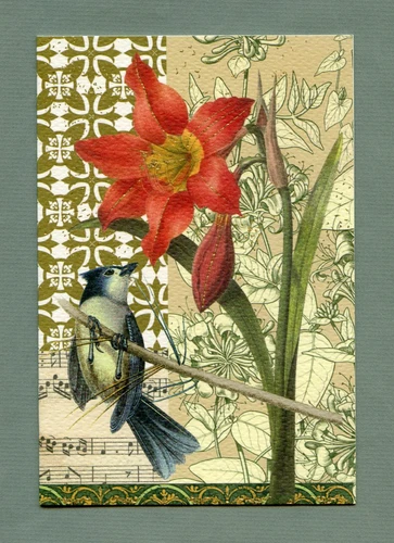 Fat Finch Boutique for Bird Lovers | Decor, Apparel, Cards