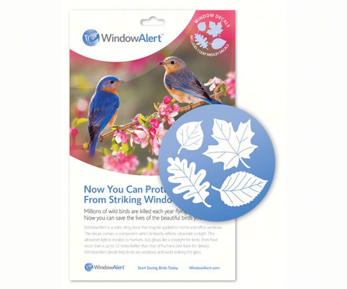 Window Alert Bird Decals | The Fat Finch Products for Bird Lovers