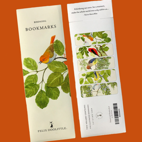 Beautiful Birds Bookmarks Boxed Set - Set of 5 | The Fat Finch Gifts ...