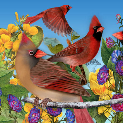 The Fat Finch Boutique for Bird Lovers | Creative gifts for bird watchers