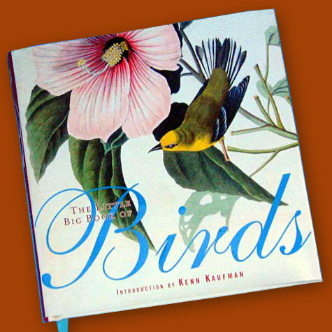 Books, Field Guides and Journals | The Fat Finch Boutique for Bird Lovers