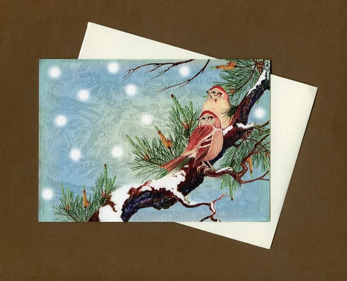 Fat Finch Boutique for Bird Lovers | Decor, Apparel, Cards