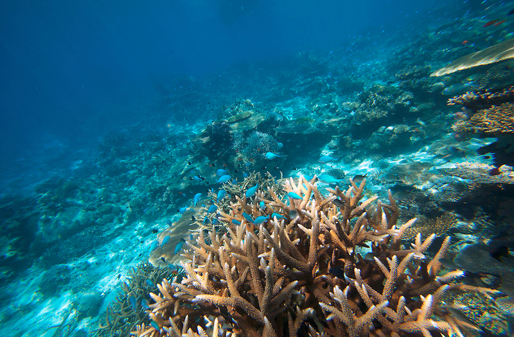 Loloma Resort | Buca Bay, Vanua Levu, Fiji | Features