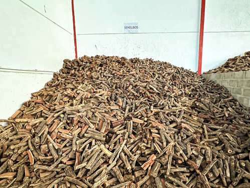 Bulk Sekelbos Braai Wood (1000 Pieces) | The Wood Bros