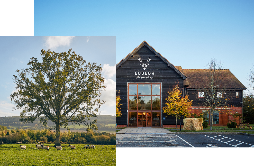 Ludlow Farmshop | Shropshire Good Food