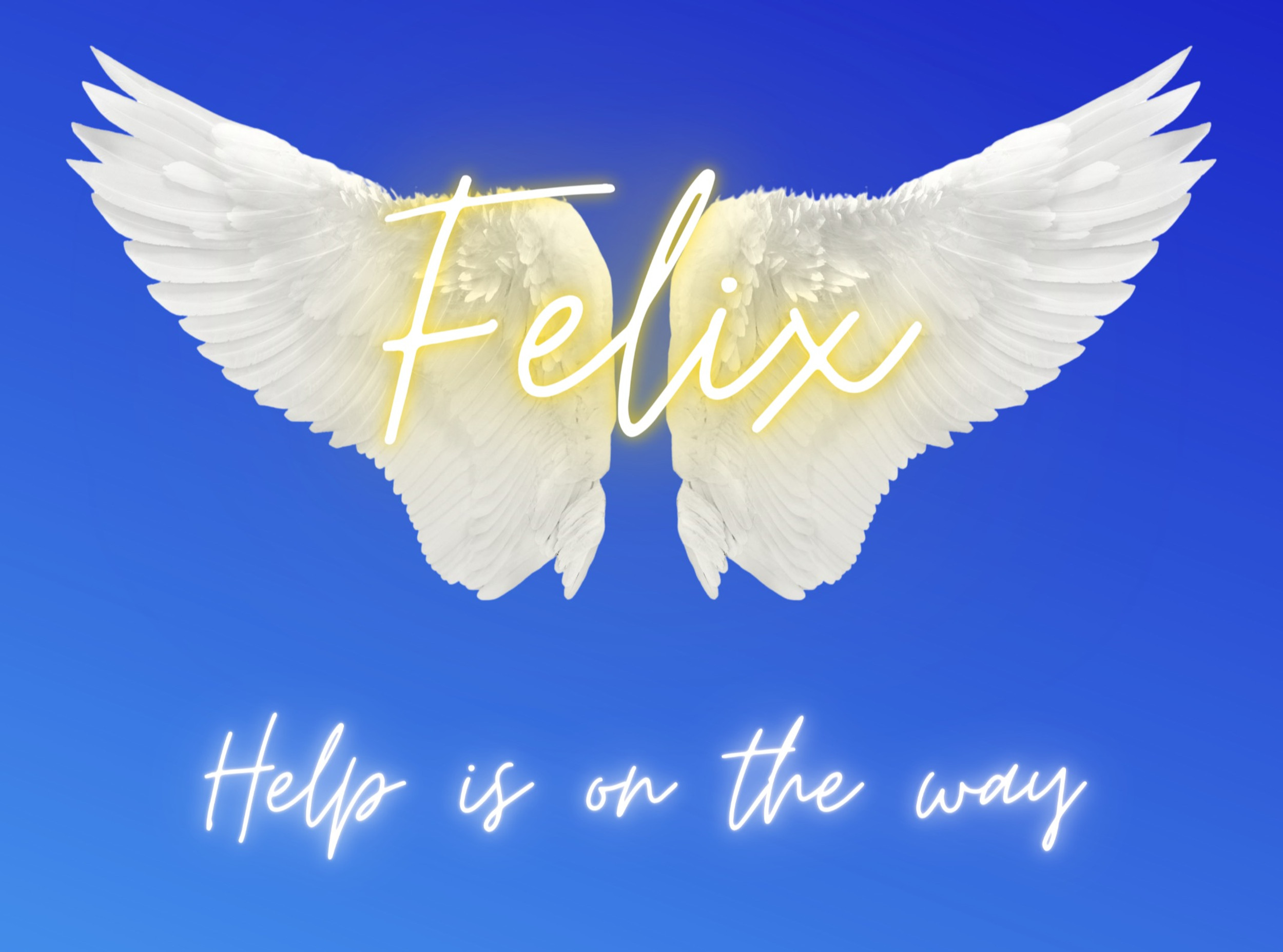 Felix | Lama Entertainment