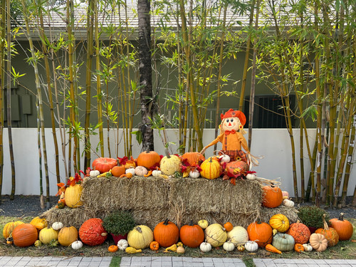 Pop-Up Pumpkin Patch Package | Pumpkin Porches