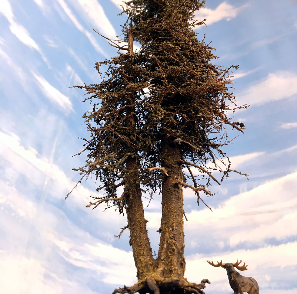 Double Trunk Tree - 9 Inch | CSP