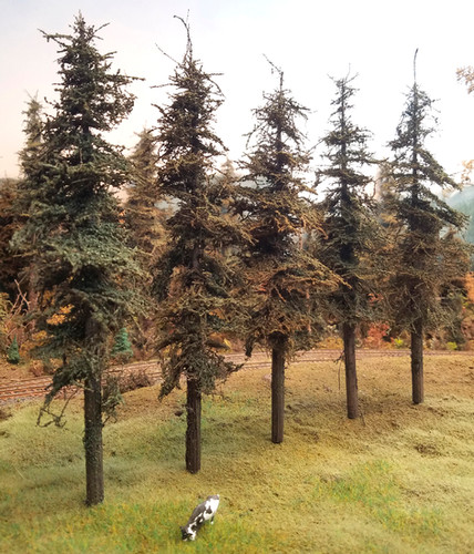 Standard Fir Trees - 9 Inches, FIVE | CSP