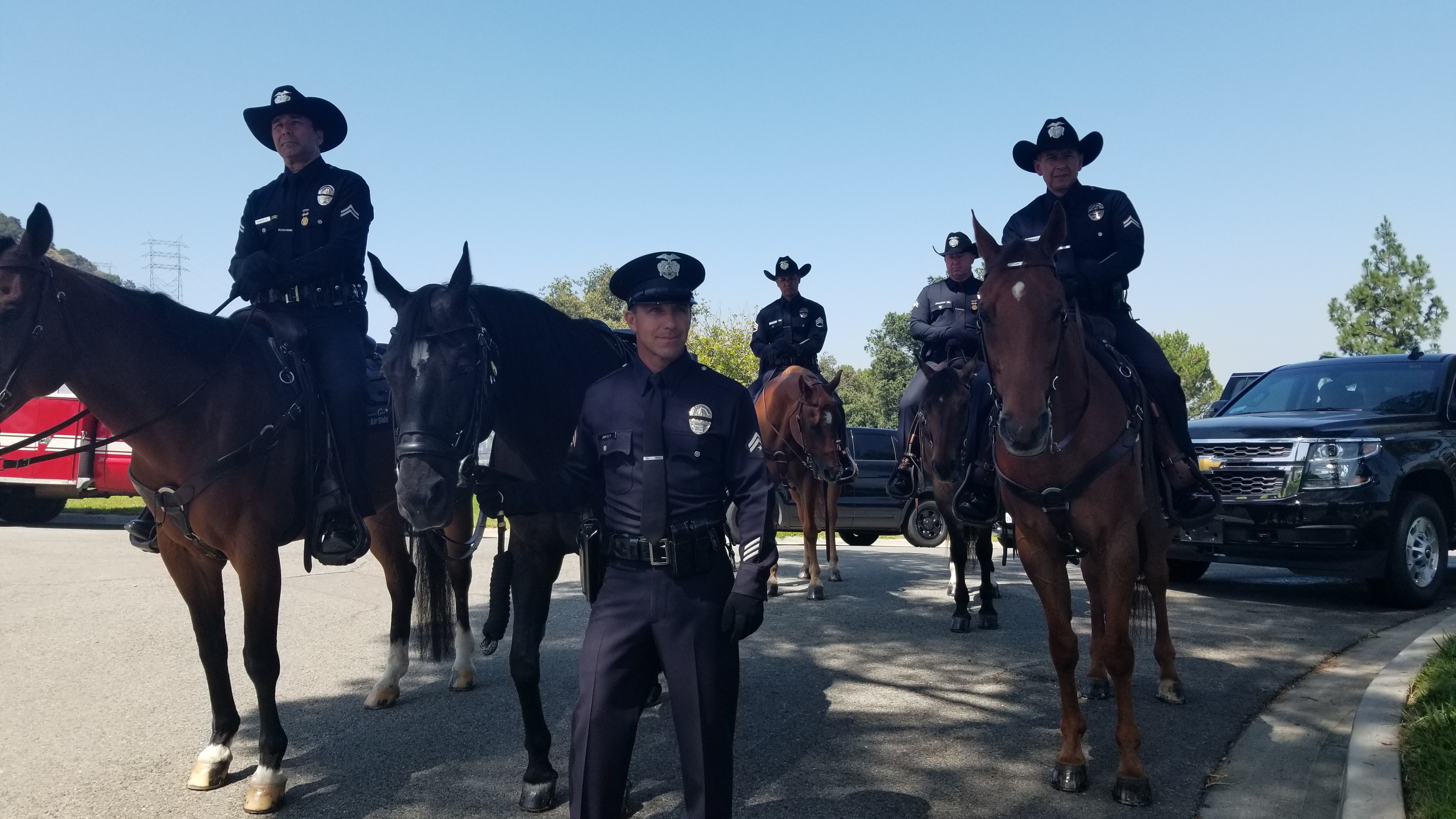 Foundation | lapdmounted