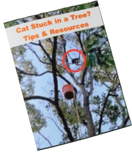 Free Resources & Downloads | Lost Cat Finder | Atlanta, GA