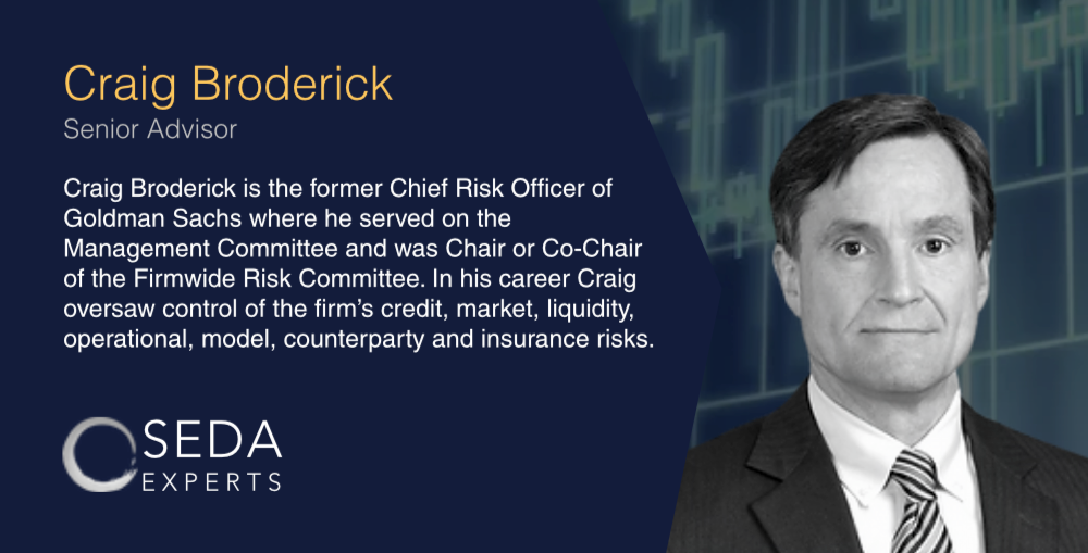 Craig Broderick | Risk Management Expert Witness | SEDA Experts