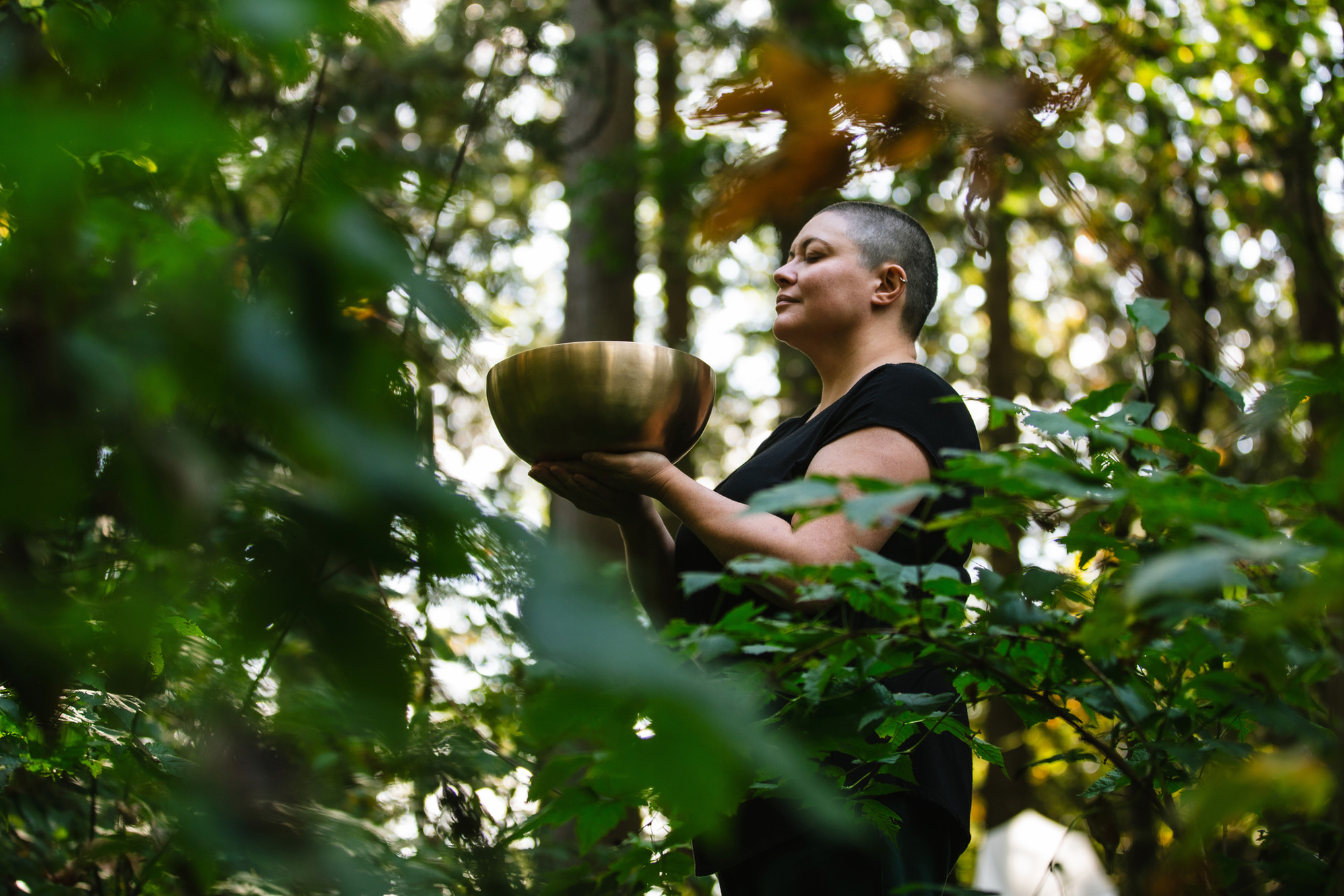 Healing Sounds Studio | Sound Healing in Surrey, Nature & Forest ...