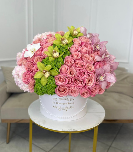 Jessa In Pink Le Boutique Royal