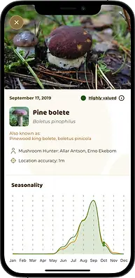 Mushroom Spot - over 300000 spots on a map