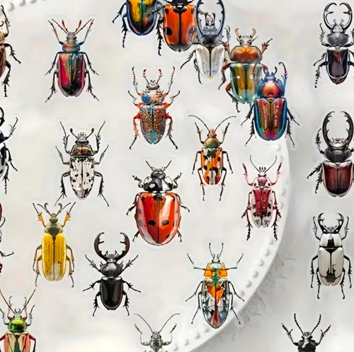 PET sticker bugs x50 | Emma’s happy place a