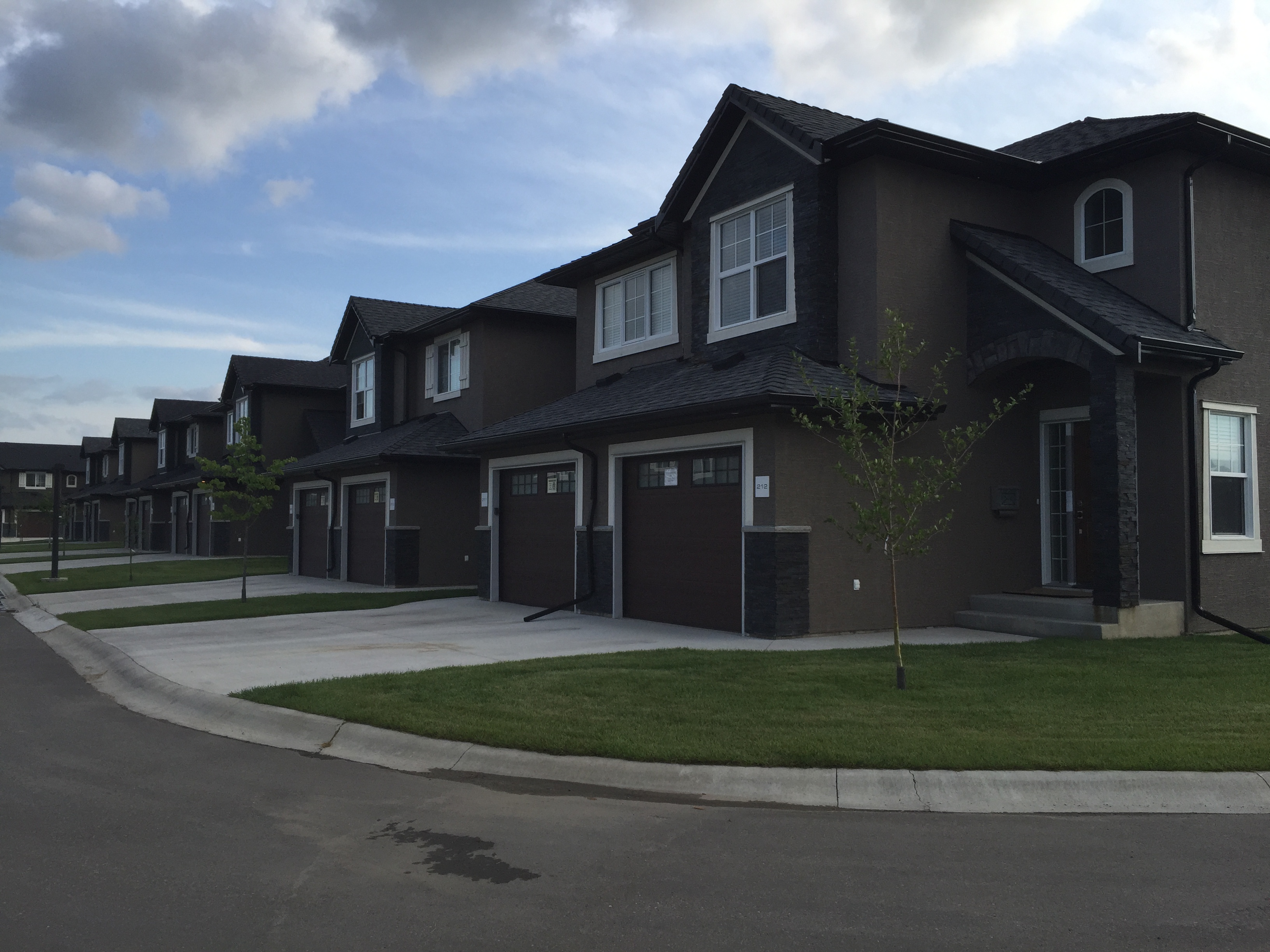 Cathedral Stone and Tile: Stone Venee