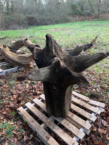 Knightwood Oak Tree Stump | Rustic Antiques