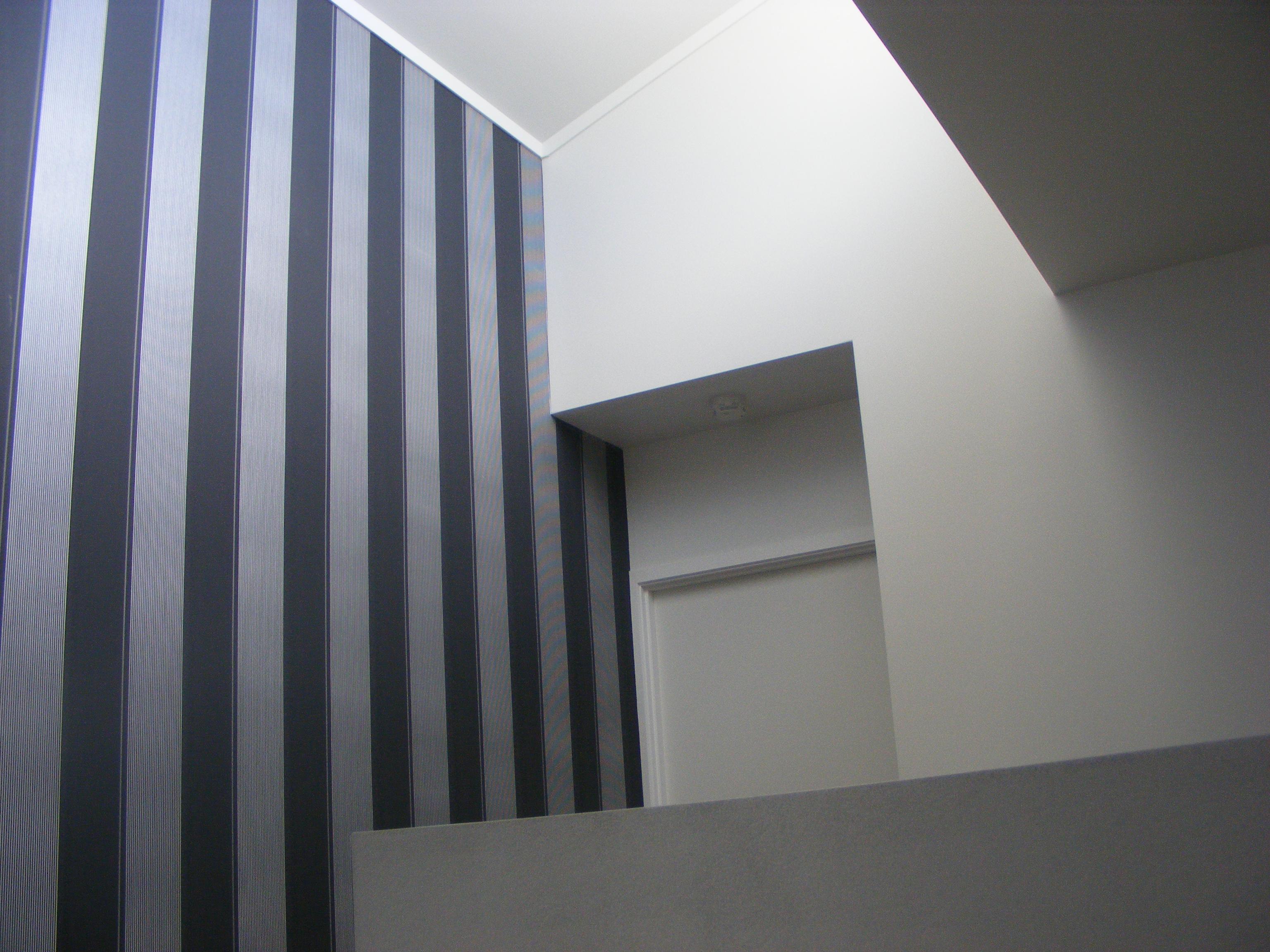 House Painters | Absolute Painting Solutions | Auckland