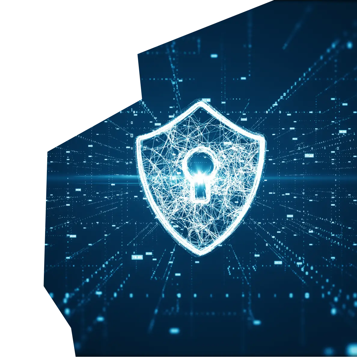 Zynet | IT solutions for businesses