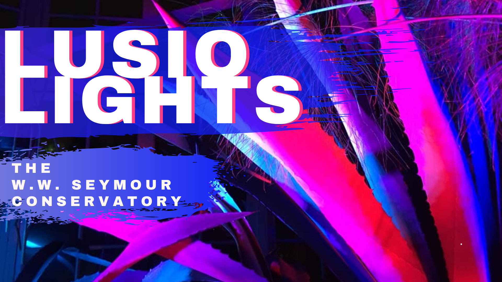 Lusio Lights the WW Seymour Botanical Conservatory