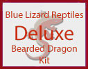 Blue Lizard Bearded Dragon Starter Kit Deluxe | Blue Lizard Reptiles