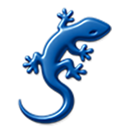 Safe Plants For Tortoises | Blue Lizard Reptiles