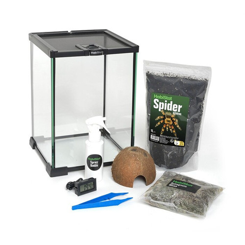 HabiStat Invertebrate Starter Kit | Blue Lizard Reptiles