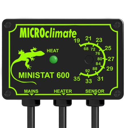 Microclimate Ministat 600 | Blue Lizard Reptiles