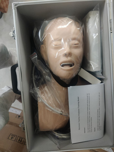 INTUBATION TRAINER - ADULT | Tevye Health Care