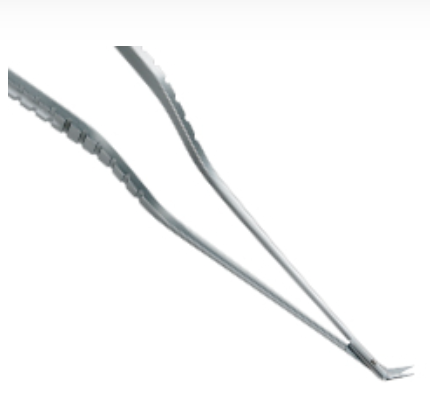 Scanlan Scissors | Suntime