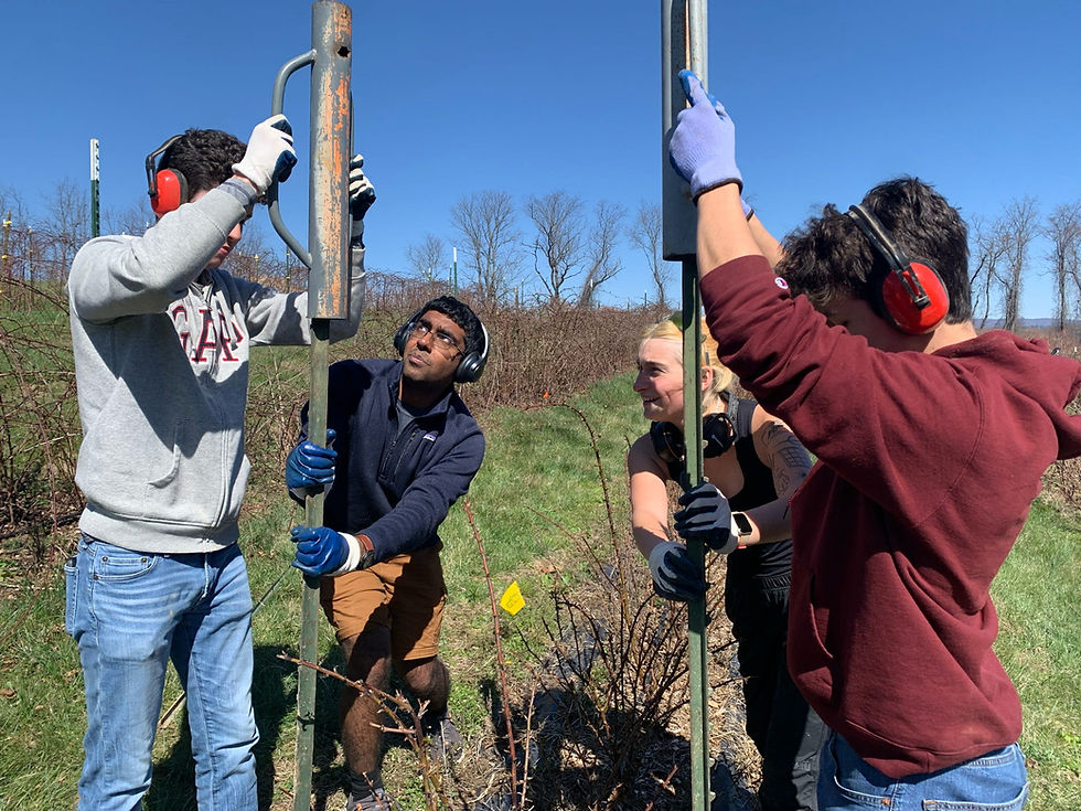 Alpha Phi Omega at Virginia Tech