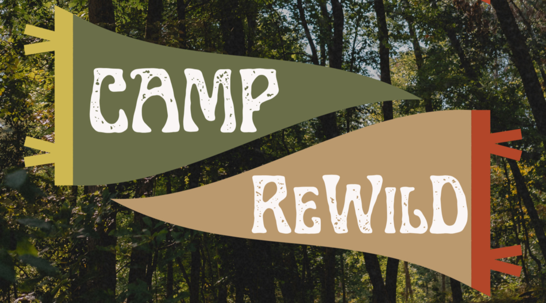 Camp ReWild | A Wellness Getaway