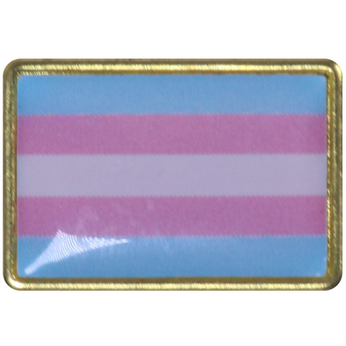 Transgender Pride Flag Pin Powered By Rainbows