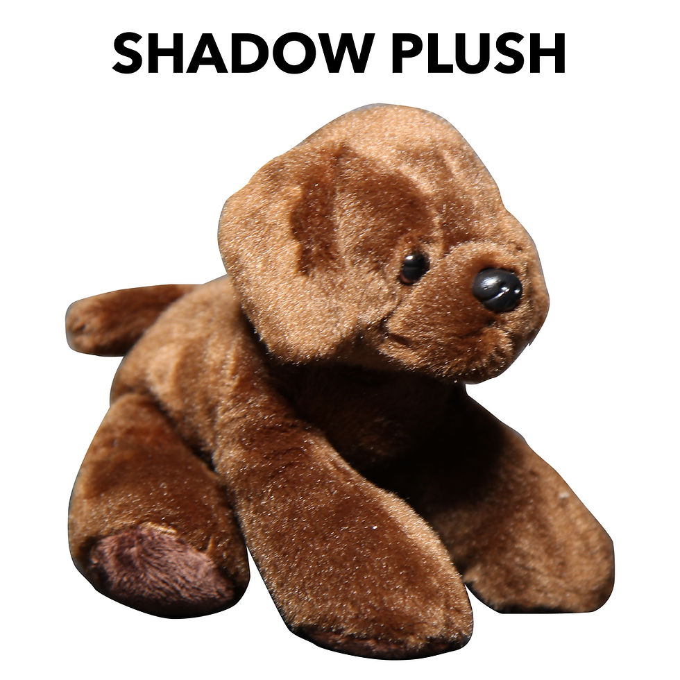 Shadow Plush | Powered By Rainbows