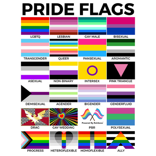 Pride Flags Poster | Powered By Rainbows