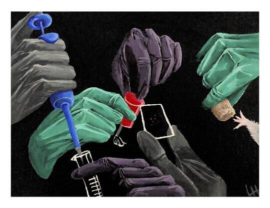 The art of the Auerbach Lab's research