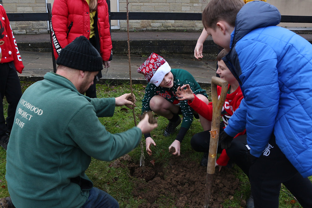 Planting Trees With Local Schools For National Tree Week planting-trees-with-local-schools-for-national-tree-week