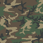 Woodland Camouflage - Das bekannte M81 Tarnmuster