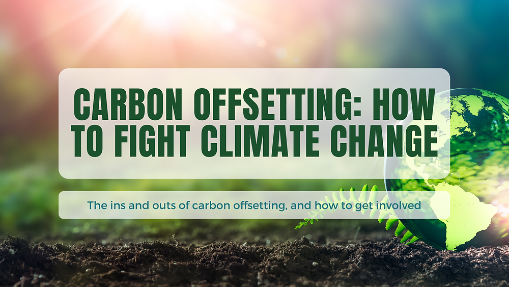 Carbon Offsetting: How to Fight Climate Change