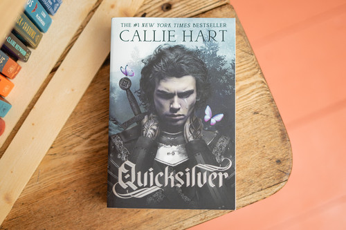 Quicksilver | 26.99 | THE WANDERING GRIFFIN BOOKHOUSE & SHOPPE