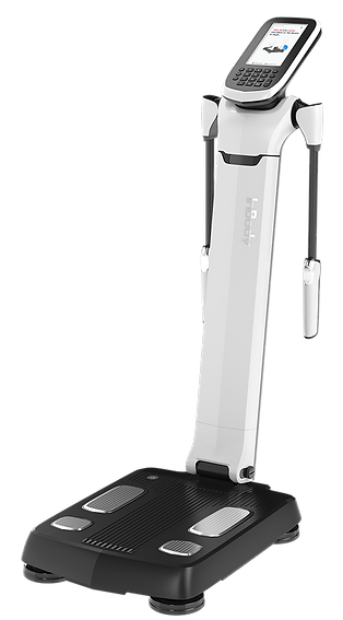 Body Composition Analysis | Elmira Chiropractic