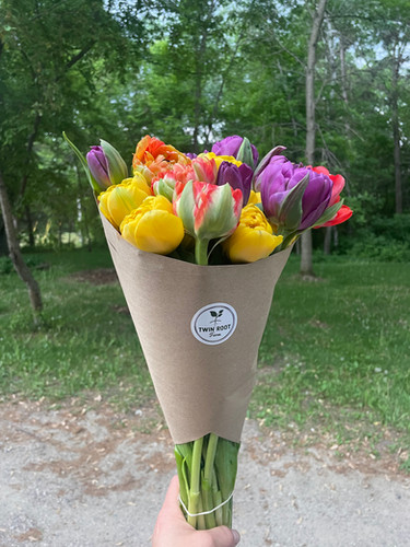 Spring Subscription - Fancy Tulips | Twin Root Farm