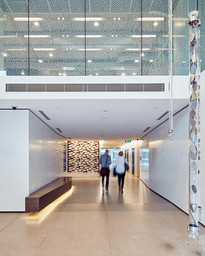 Development | Kyko Group