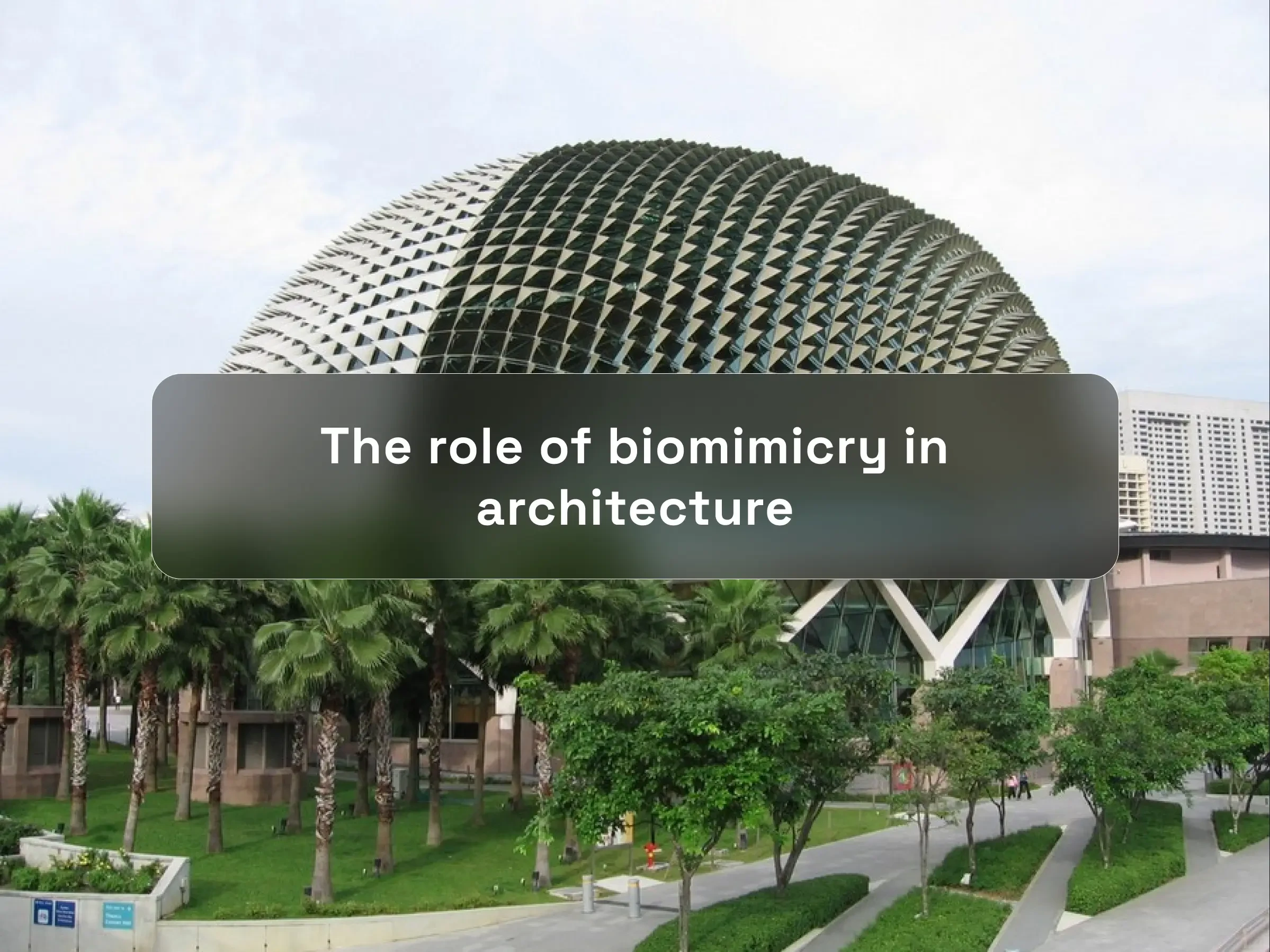The role of biomimicry in architecture | Studio ISA