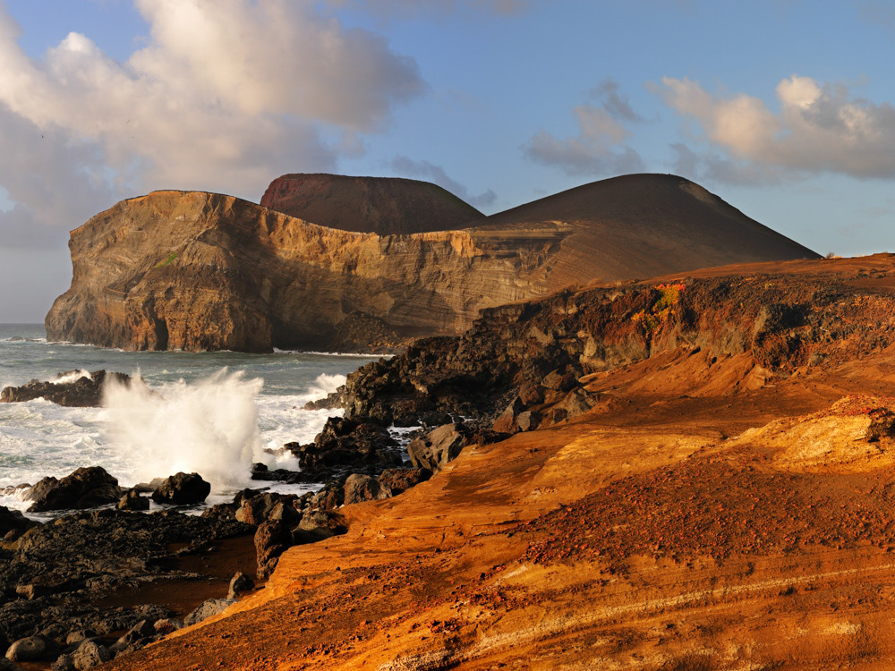 Naturalist - Science & Tourism | Nature Tours & Whale Watching Azores