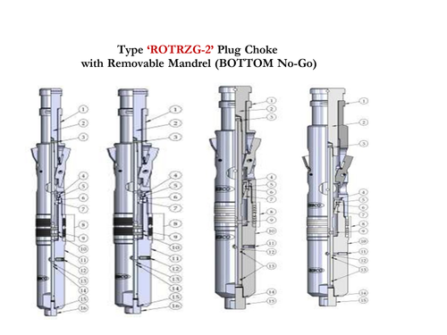 Type 'ROTRZG-2' PLUG CHOKE with REMOVABLE MANDREL BOTTOM NO-GO | Rebco ...