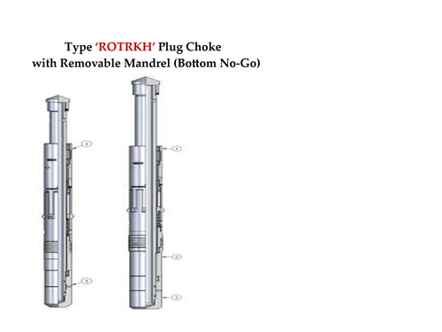 Type 'ROTRKH' PLUG CHOKE with REMOVABLE MANDREL BOTTOM NO-GO | Rebco ...
