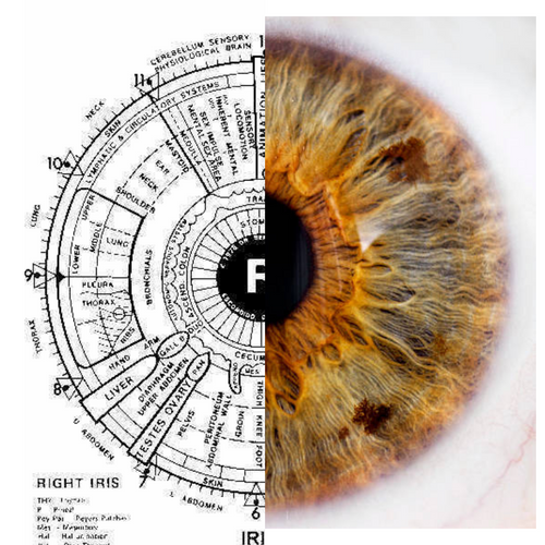 Full Detailed Iridology Reading + Herbal Protocol + Follow Up 1 hour ...